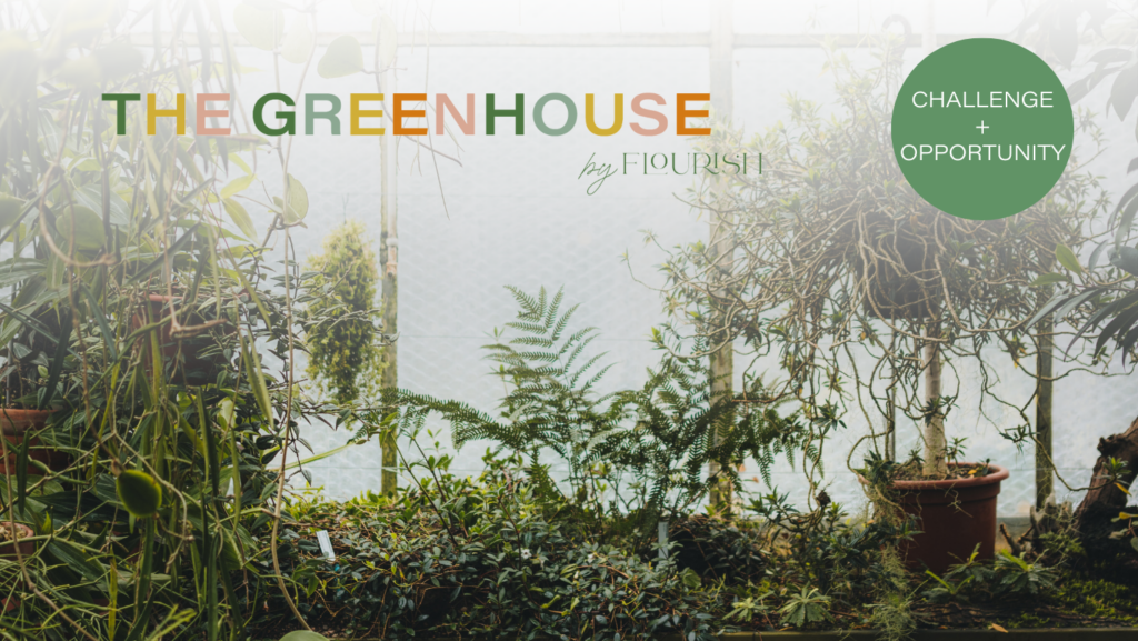 I like the idea of batch creating, but when I sit down to actually do it my mind gets so ...